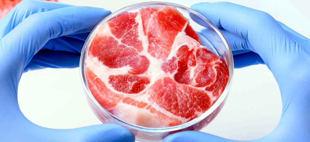 What is Cellular Agriculture? - FoodIndustry.Com