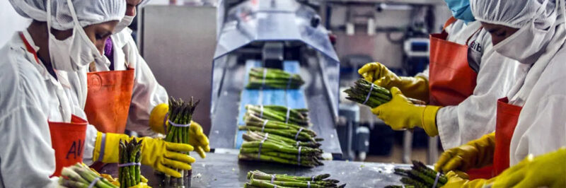 Sustainable Practices in the Food Processing Sector - FoodIndustry.Com