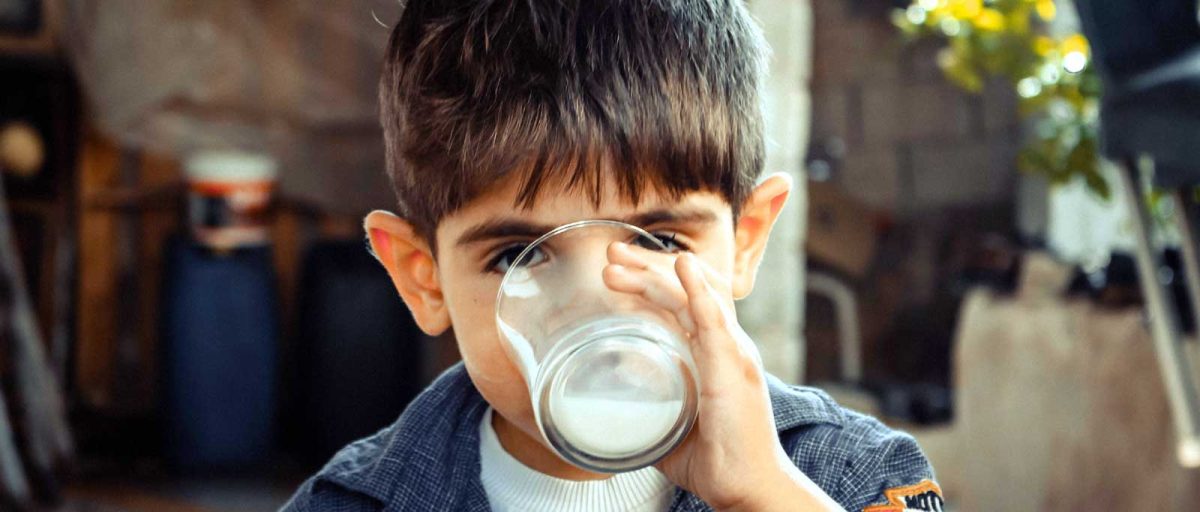 Natural and artificial hormones in cow milk - FoodIndustry.Com