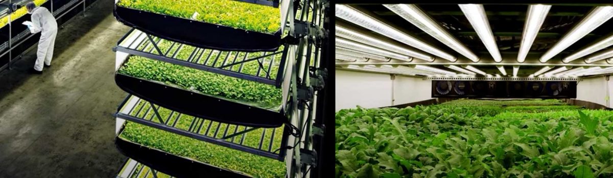 Exactly what is vertical farming? - FoodIndustry.Com